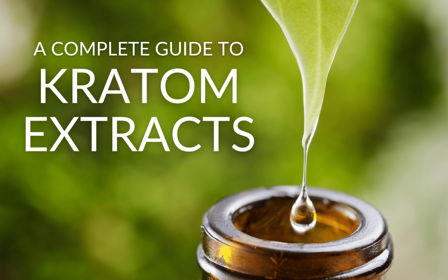 A Complete Guide to Kratom Extracts: What They Are, Benefits, and Risks ...