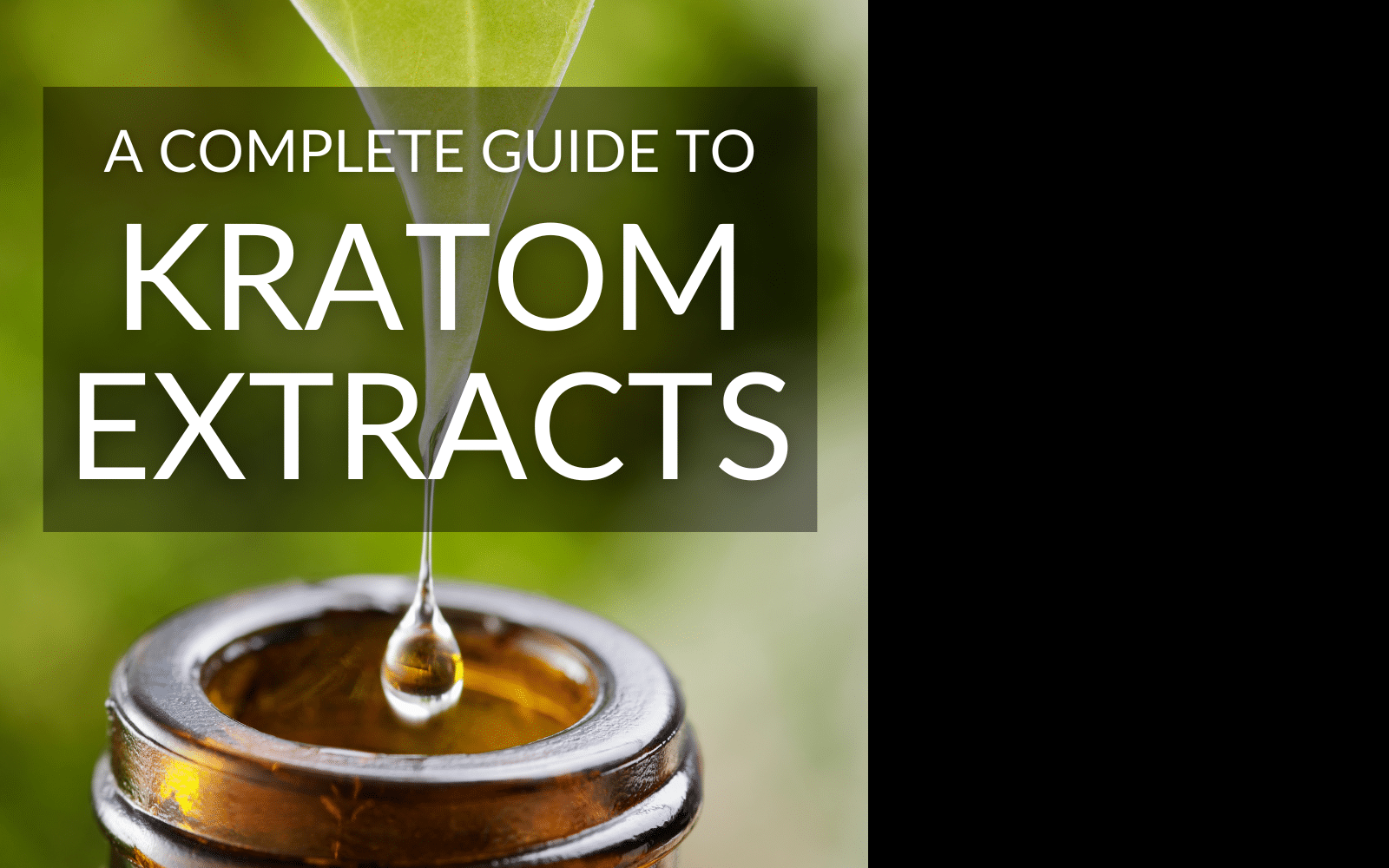 A Complete Guide to Kratom Extracts: What They Are, Benefits, and Risks ...