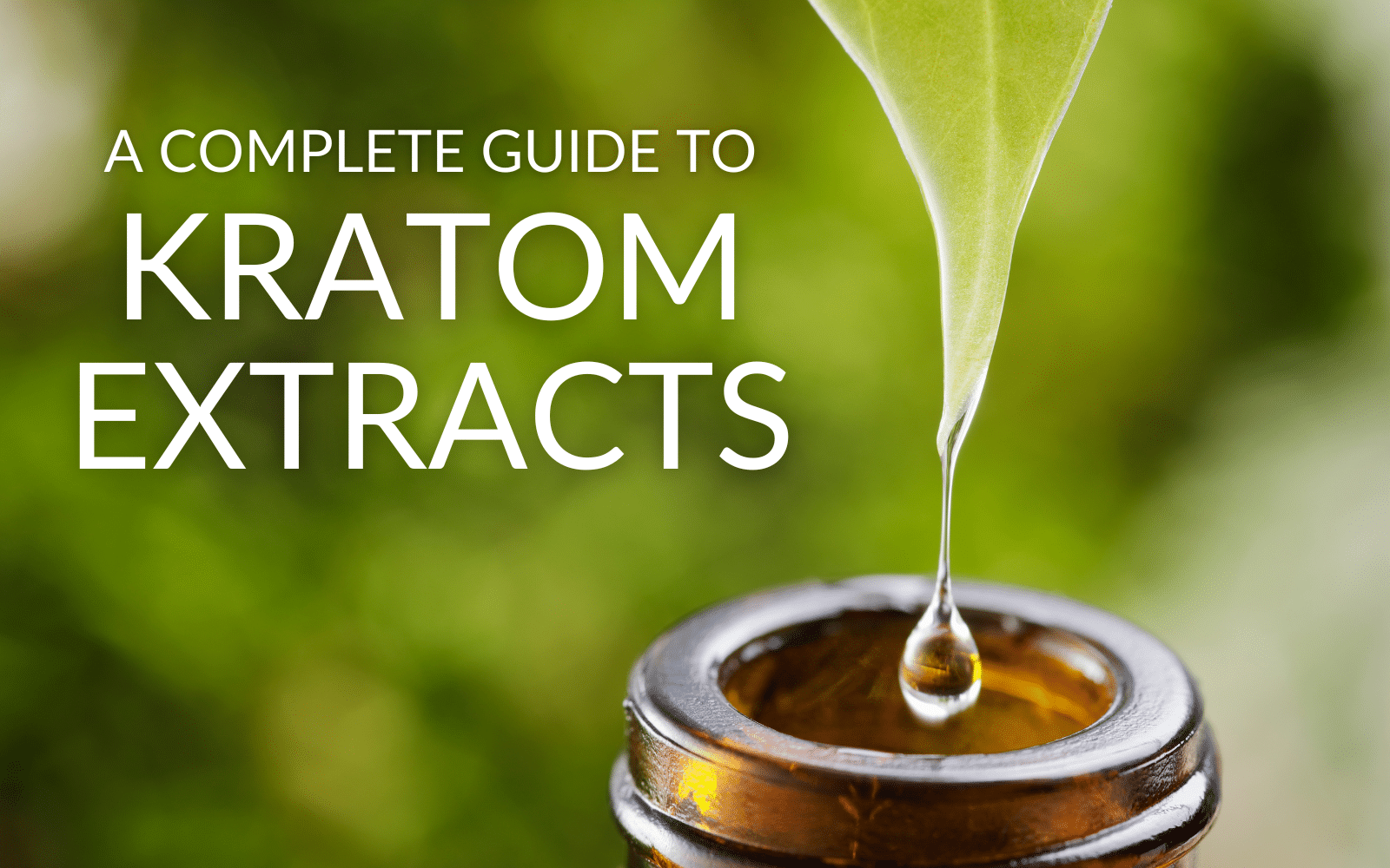 A Complete Guide to Kratom Extracts: What They Are, Benefits, and Risks - MITRAGAIA