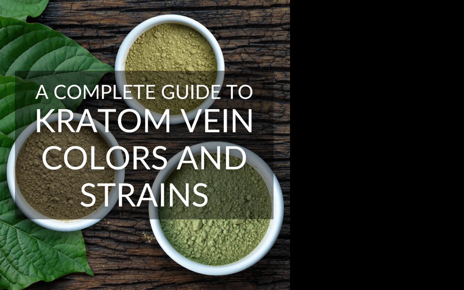 Kratom Blog and References - MITRAGAIA