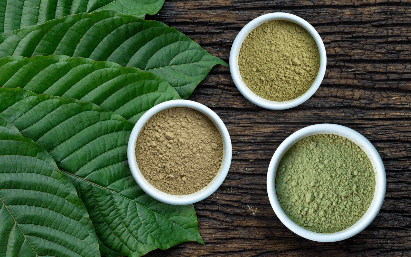 A Complete Guide to Kratom Vein Colors and Strains: Red, Green, and ...